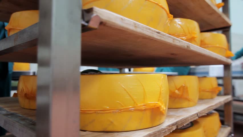 Cheese Factory and cheese products image - Free stock photo - Public ...