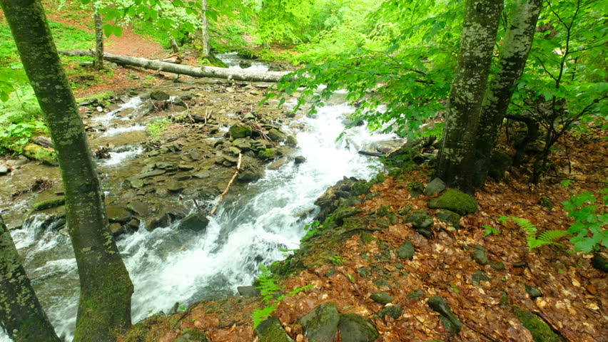 Streams and landscape in Great Smoky Mountains National Park, Tennessee ...
