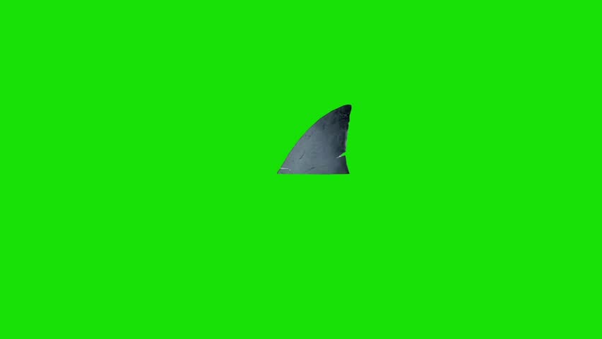 Sharks in the Ocean image - Free stock photo - Public Domain photo ...