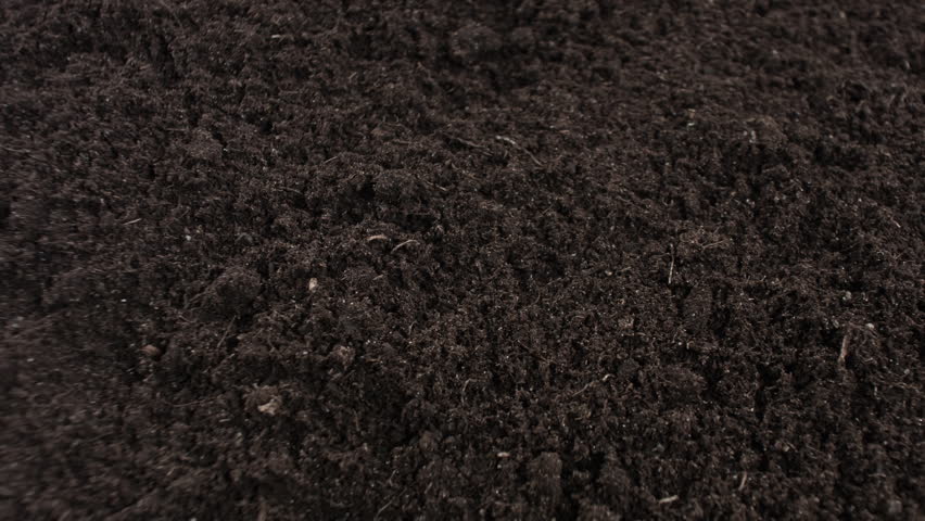 Farm Soil Background 4k Stock Footage Video 10125758 | Shutterstock