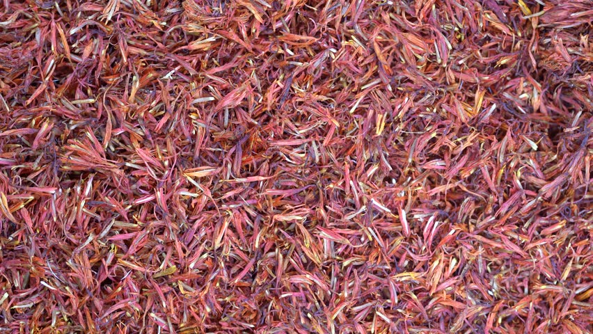 Saffron Stock Video Footage - 4K and HD Video Clips | Shutterstock