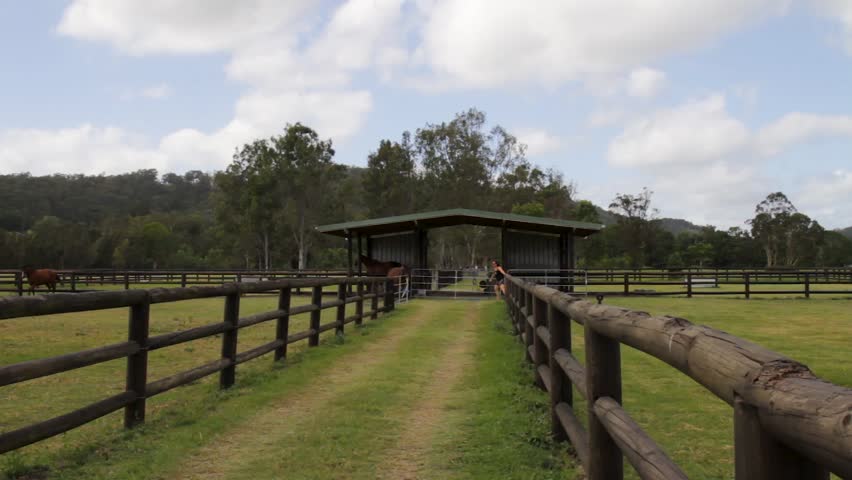 Horse Racing contestants in a race image - Free stock photo - Public ...