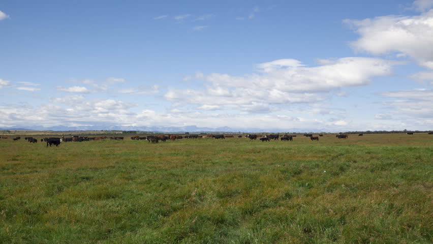 Grassland, Farm, and skies landscape in Alberta image - Free stock ...