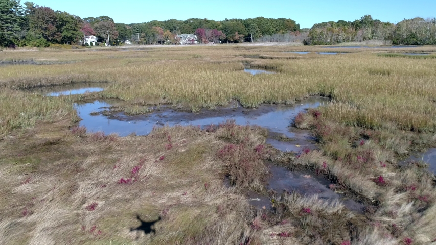 Marsh Landscape with water pools image - Free stock photo - Public ...