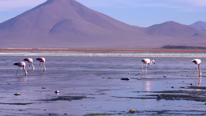Red Mountain with Water and landscape, Chile image - Free stock photo ...