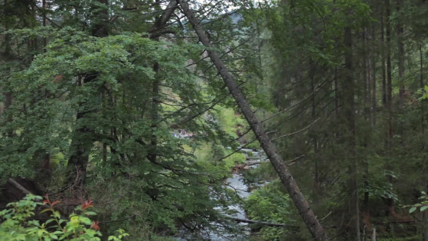 Beautiful running River Scenery image - Free stock photo - Public ...