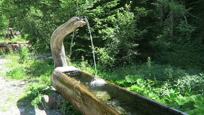 Clean Water on a log image - Free stock photo - Public Domain photo ...