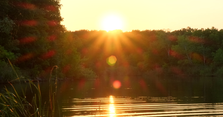 Sunset behind trees in the river landscape image - Free stock photo ...