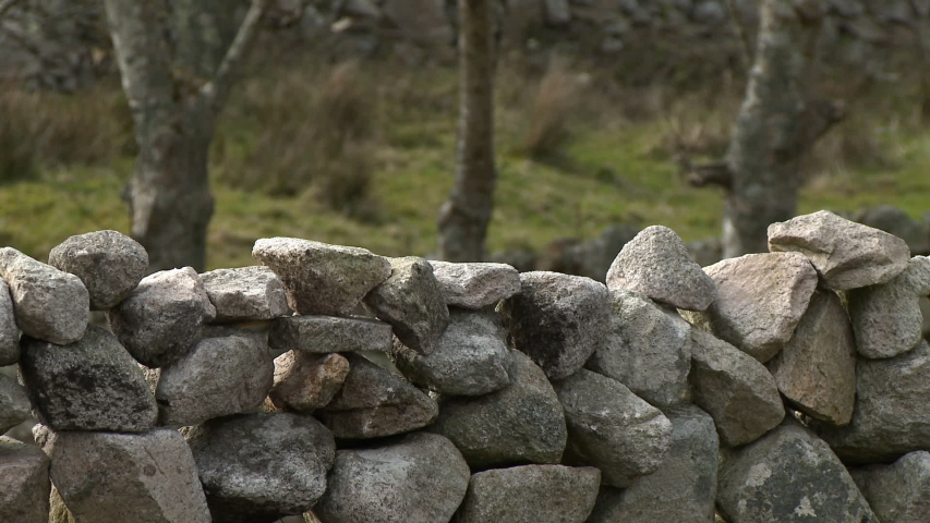 Stack of flat rocks image - Free stock photo - Public Domain photo ...