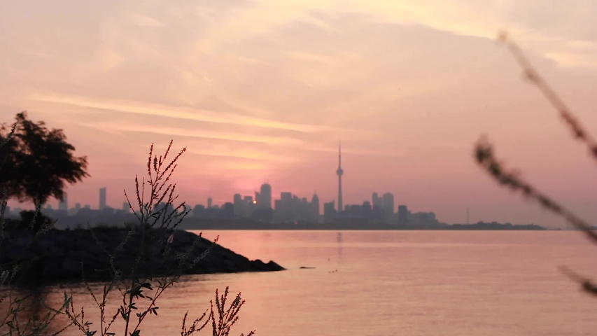 Skyline of Toronto from across the lake in Ontario, Canada image - Free ...