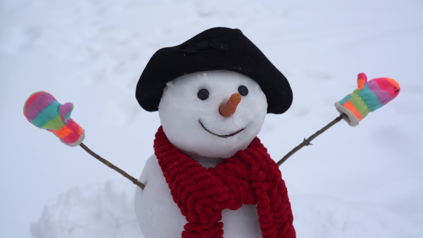 Snowman with face and hat image - Free stock photo - Public Domain ...