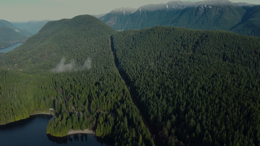 Pine tree line and Mountains landscape image - Free stock photo ...