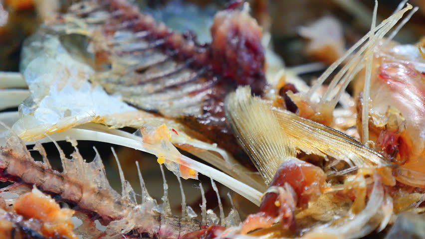 SLOW MOTION: The Cook Makes Grill Fish At Karaky Fish Market (Istanbul ...