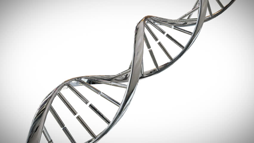 Video stock a tema dna helix on grey background | 10831535 | Shutterstock