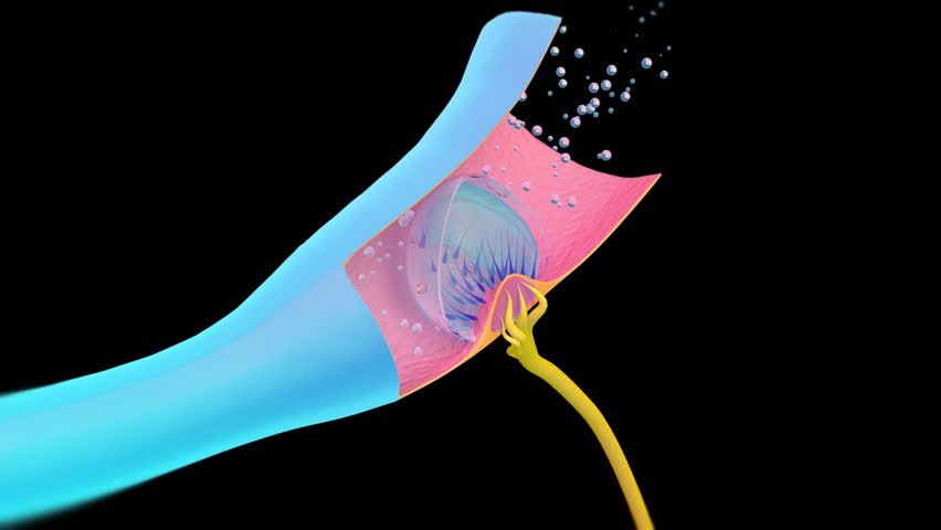 Internal Liquid Structures of the Stock Footage Video (100% Royalty ...