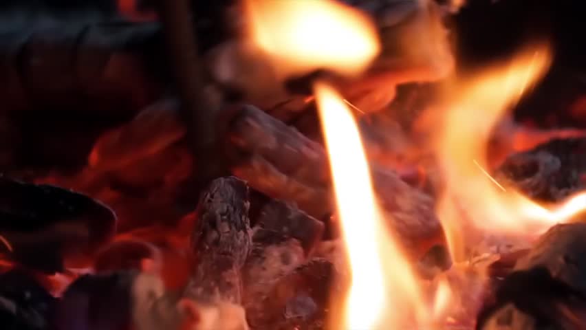 Beautiful Real Fire Flame Stock Footage Video 5631389 | Shutterstock