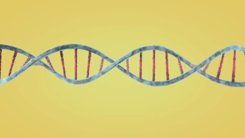 3d Animation Of Dna Strings Rotating Over A White Isolated Background ...