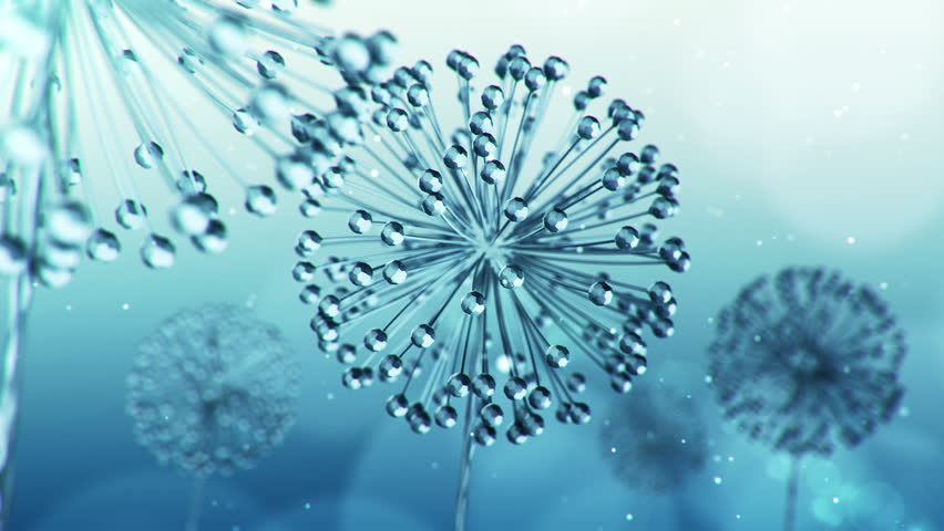 Animation Rotation And Waving On Wind Of Dandelion Flowers With Seeds ...