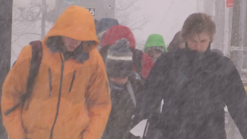 Men On Expedition Trudging Through Snow Storm In Antarctica Stock ...