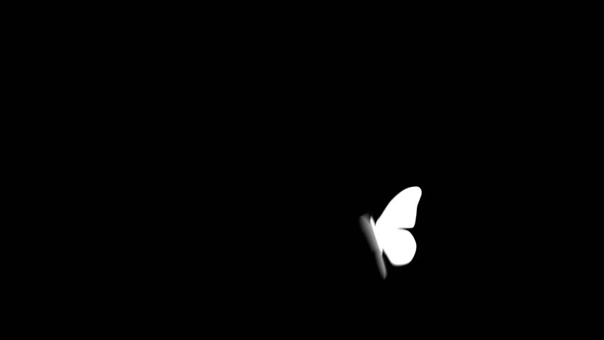 Stock video of butterfly flying and landing. includes alpha | 142825 ...