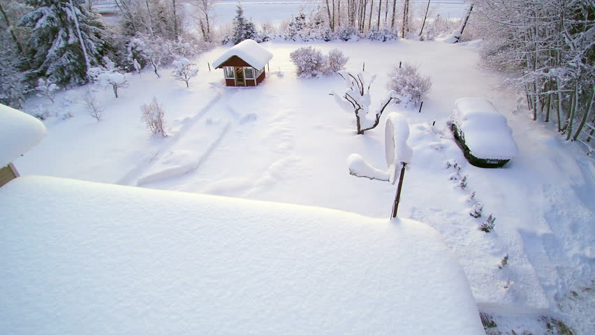 Small Snowflakes Falling, The Snow Is Blowing, Thin Twigs In The ...