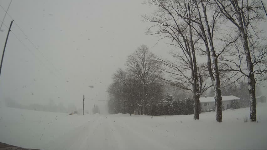 Old Trees In A Meadow On A Very Snowy Day. HD 1080p. Stock Footage ...