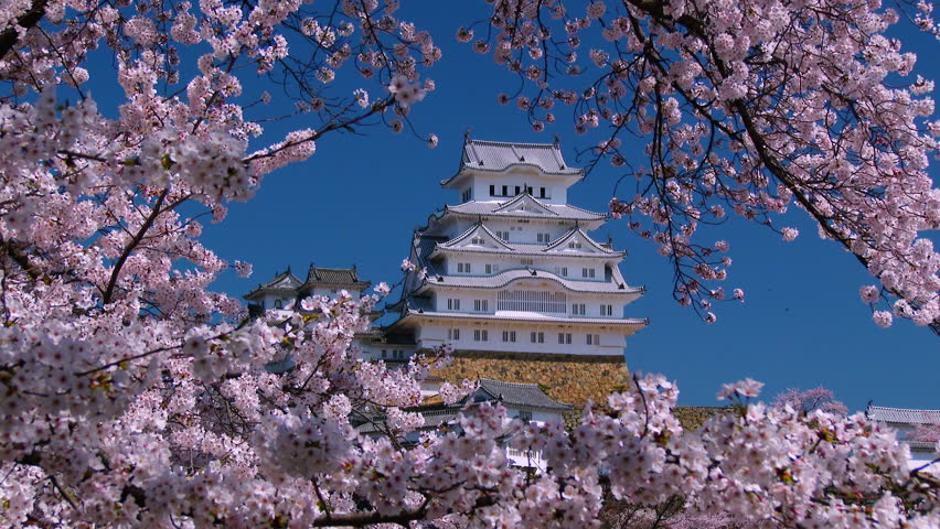Himeji Castle With Spring Cherry Blossoms,The Most Beautiful Japanese ...