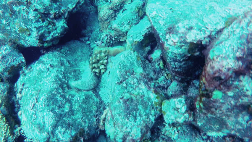 Scuba Diving. View of Stones Stock Footage Video (100% Royalty-free ...