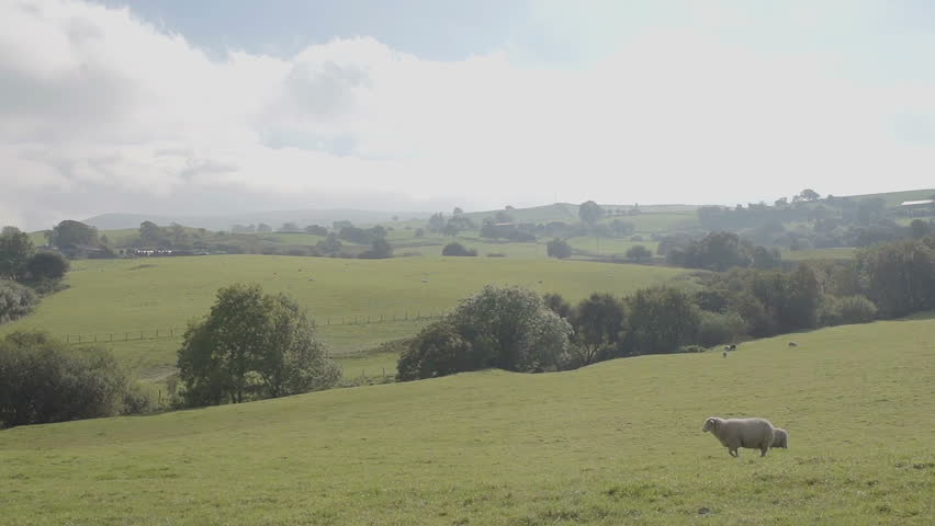 A Shot Of The Beautiful Welsh Countryside Shot On A Sunny Summer/Autumn ...