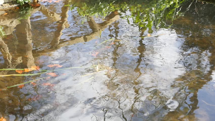 Fresh Pond Water Reflection Of Sky And Plants With Wavy Water Surface ...