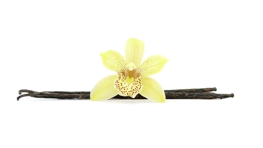 Looping File Of Vanilla With Orchid Stock Footage Video 1624087 ...