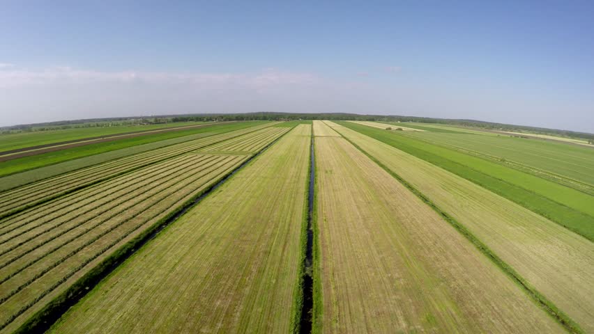 Aerial Footage of Green Grass Stock Footage Video (100% Royalty-free ...