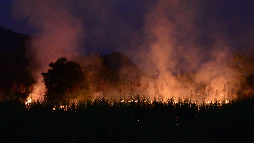 Night Movie of a Flaming Stock Footage Video (100% Royalty-free ...