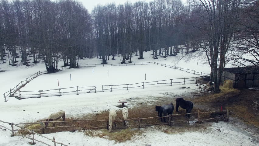 Snowy Ranch Landscape image - Free stock photo - Public Domain photo ...