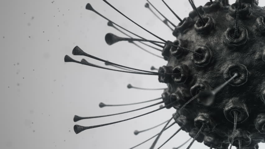 Animation of Bacteria Virus or Stock Footage Video (100% Royalty-free ...