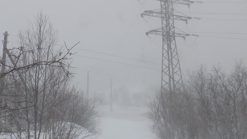 Swaying Trees, Power Poles, Snow, Stock Footage Video (100% Royalty ...