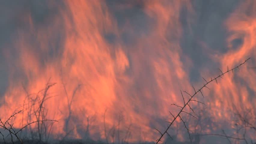 Wildfire Raging in South African Stock Footage Video (100% Royalty-free ...