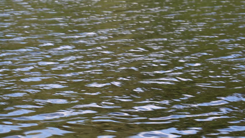 Moving Ripples On Green Water Surface Of Tropical Rain Forest River ...