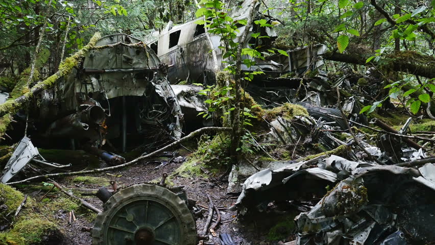 RAIN FOREST NEAR GUSTAVUS ALASKA-AUGUST 2016:POV-Moving Past Wreckage ...