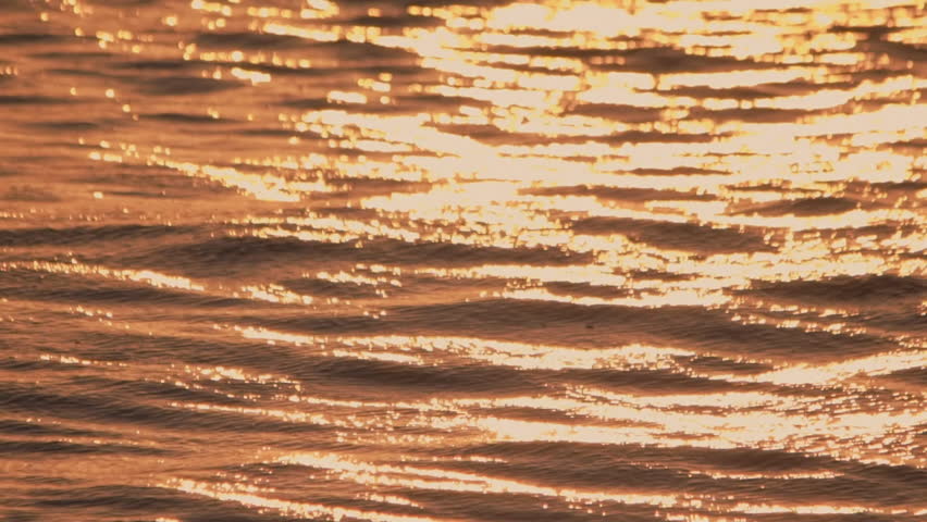 Calm Sunset Sea,backlit Golden Sea Stock Footage Video (100% Royalty ...