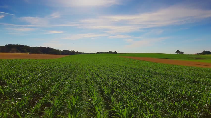 South Dakota Prairie Scenery Stock Footage Video 3176608 | Shutterstock