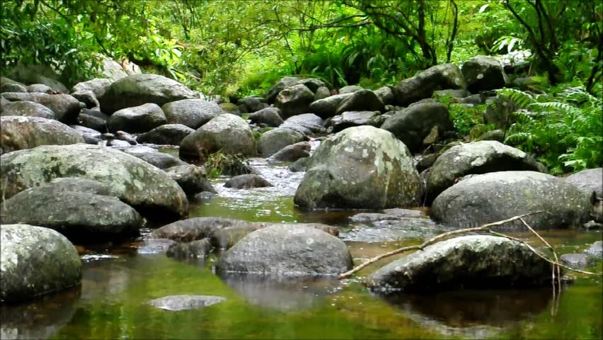 Stock video of forest stream, tropical rainforest in thailand ...