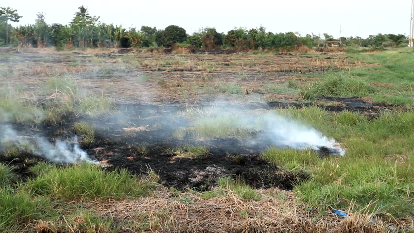 Smoke in the Burning Field Stock Footage Video (100% Royalty-free ...