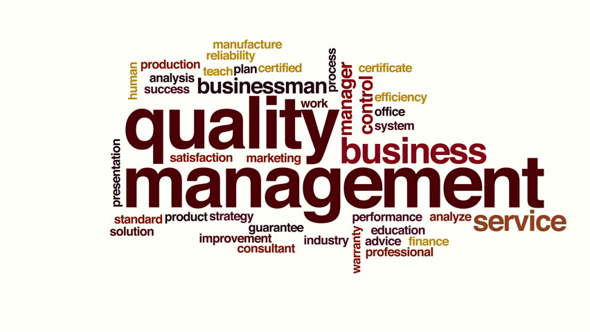 Quality Management Animated Word Cloud, Text Design Animation. Stock ...