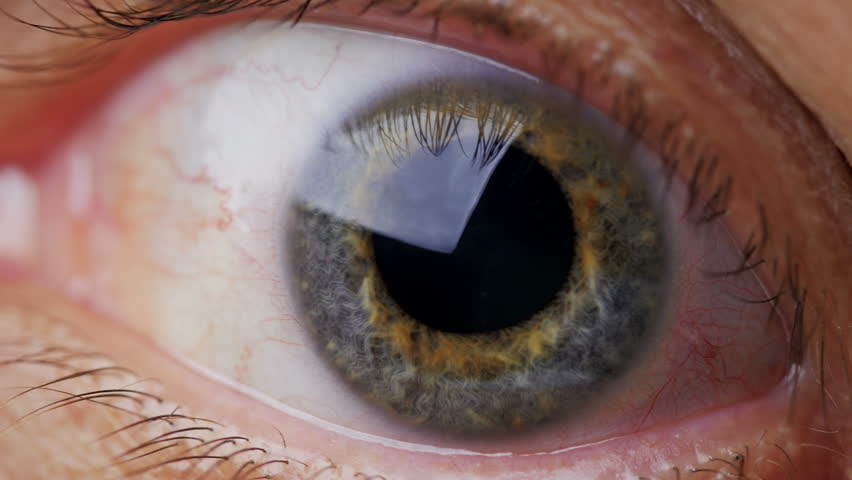 Human Eye Iris Contracting. Extreme Close Up. 4K UHD 2160p Footage ...