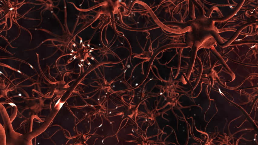 Stock video of digital motion graphic of neurons, electric | 2129645 ...