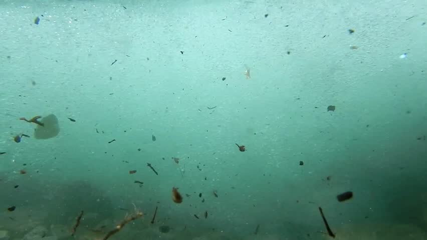 Agitated Water Under the Waterfall 库存影片视频（100% 免版税）21359035 | Shutterstock