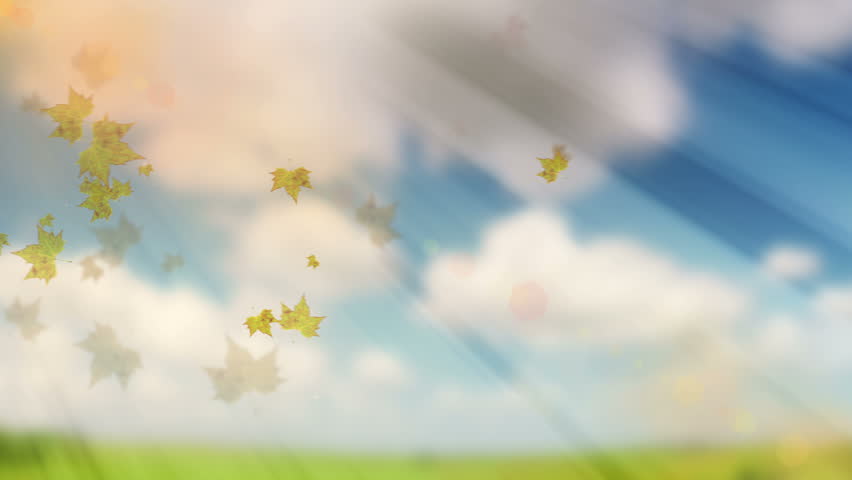 Abstract Tree Shaken By Wind. Lots Of Falling Leaves On White ...