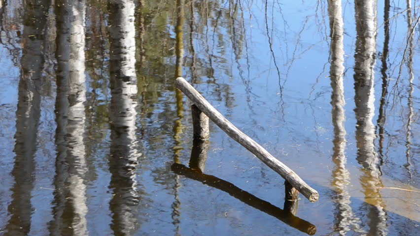 Spring Tree Reflections Ripple On Stock Footage Video (100% Royalty ...