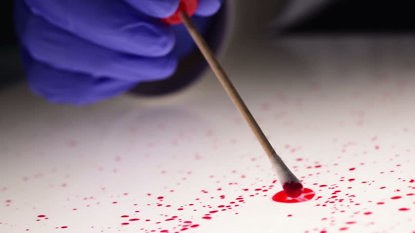 Forensic Technician Taking DNA Sample From Blood Stain With Cotton Swab ...